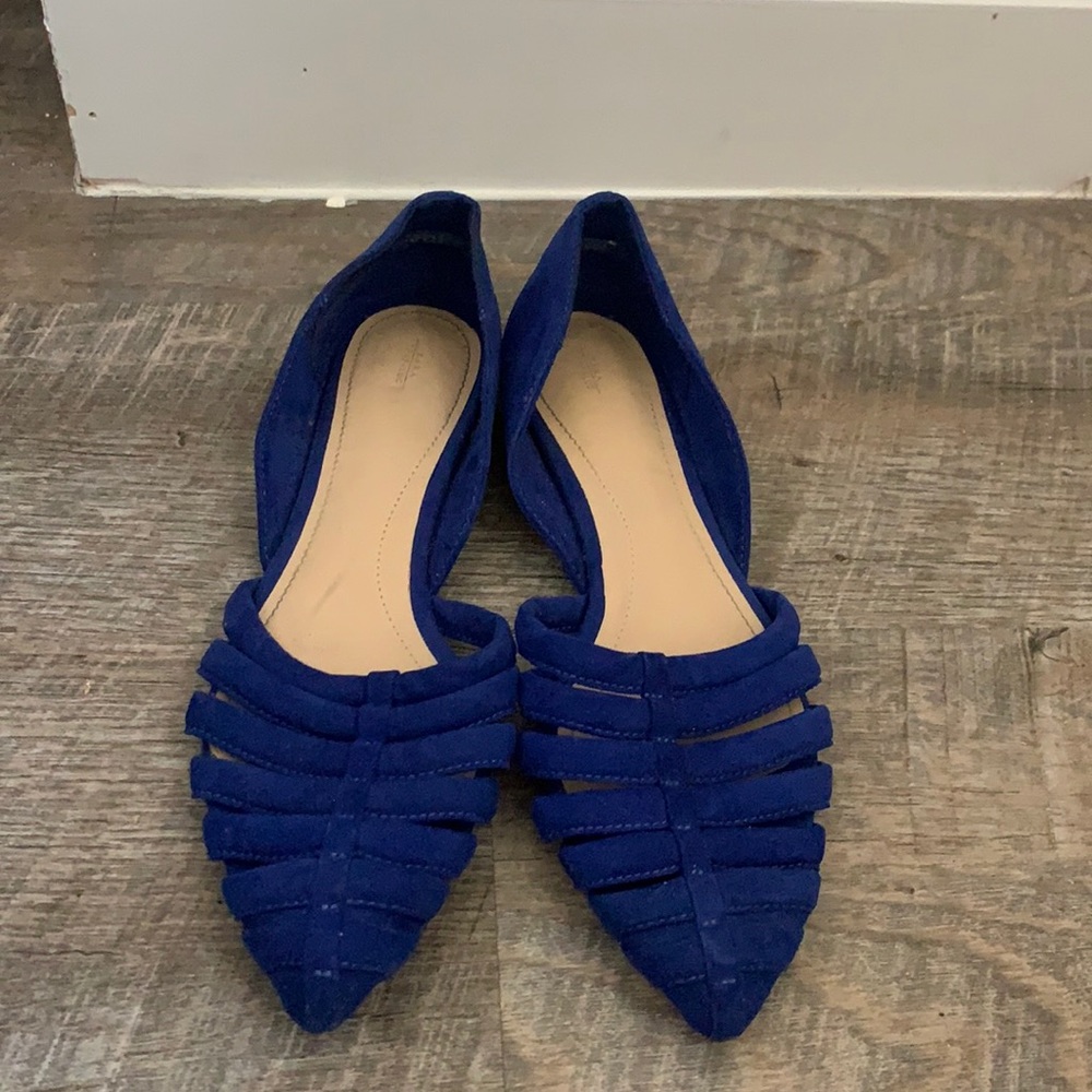 Zara Trafaluc Flats - Gem